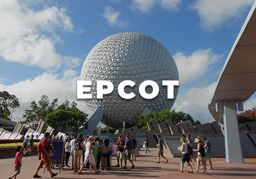 Disney Parks - Theme Park 247